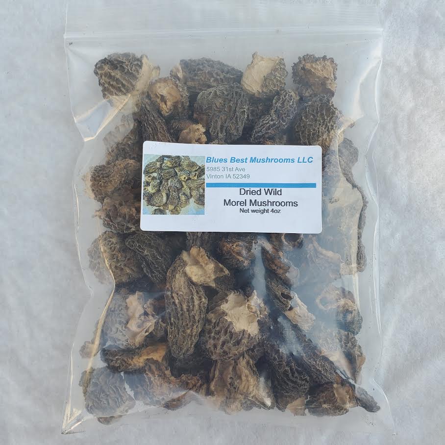 4 Ounces Dried Wild Morel Mushrooms – Blues Best Mushrooms