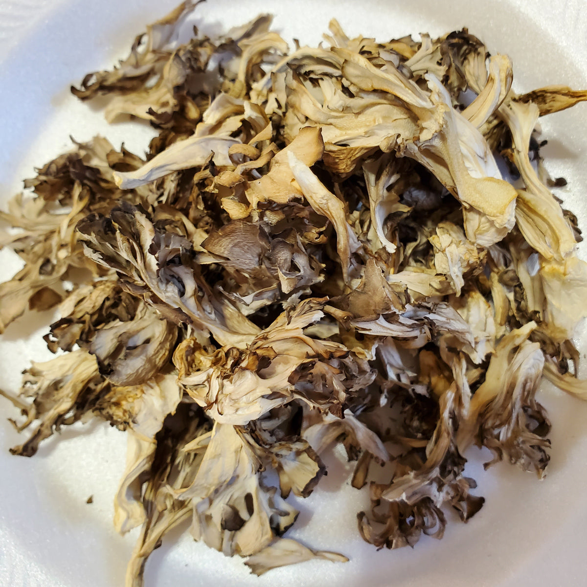 4 Ounce Dried Organic Maitake Mushrooms – Blues Best Mushrooms